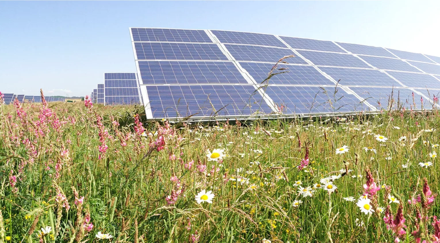 JBM Solar, Moreton Lane • Our work • Meeting Place